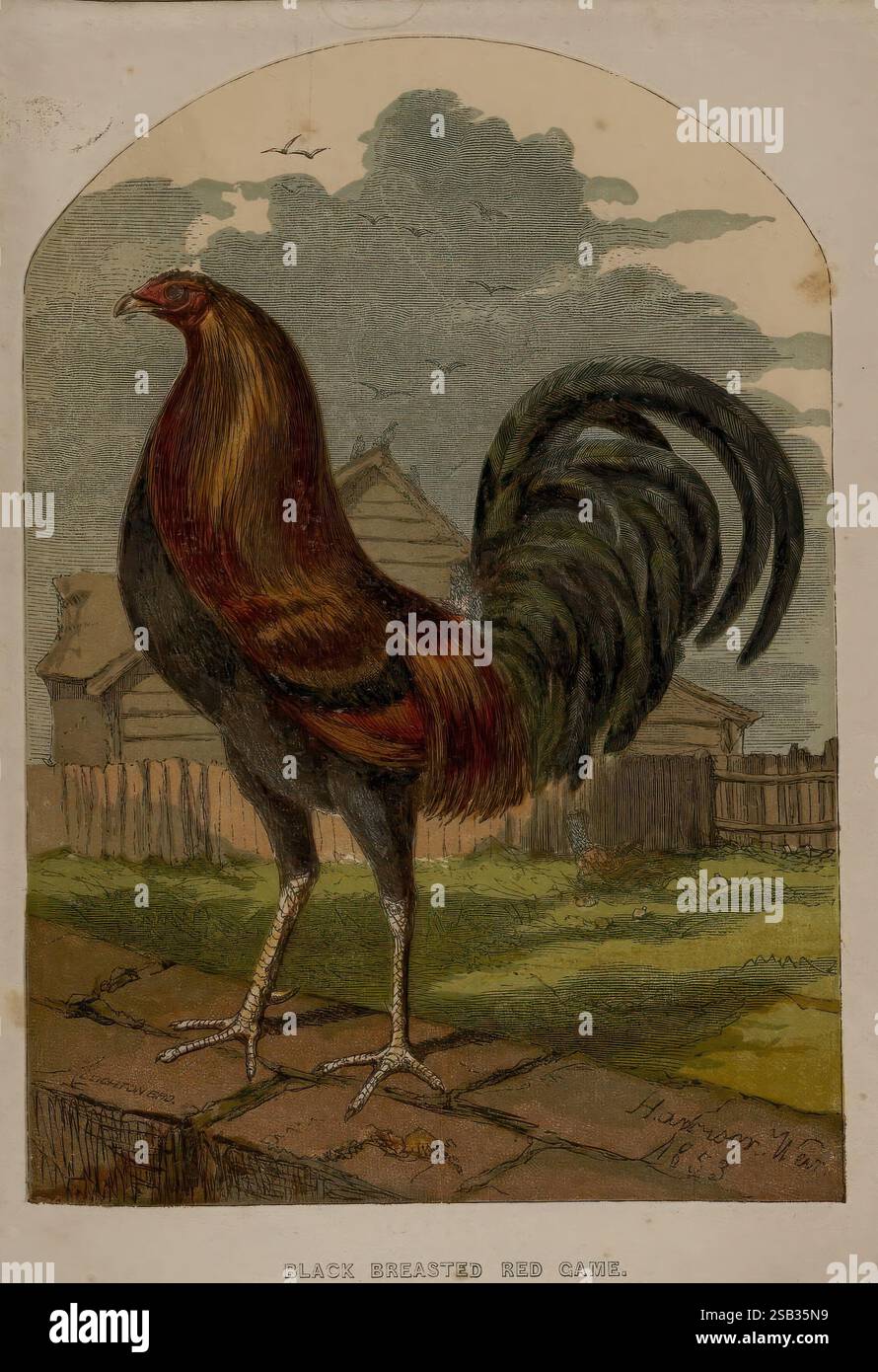 Confident posture convey hi-res stock photography and images - Alamy