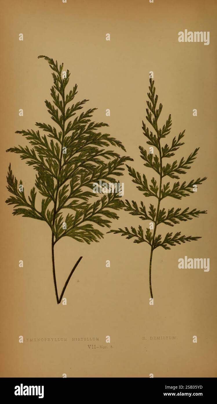 Labeling underscore hi-res stock photography and images - Alamy