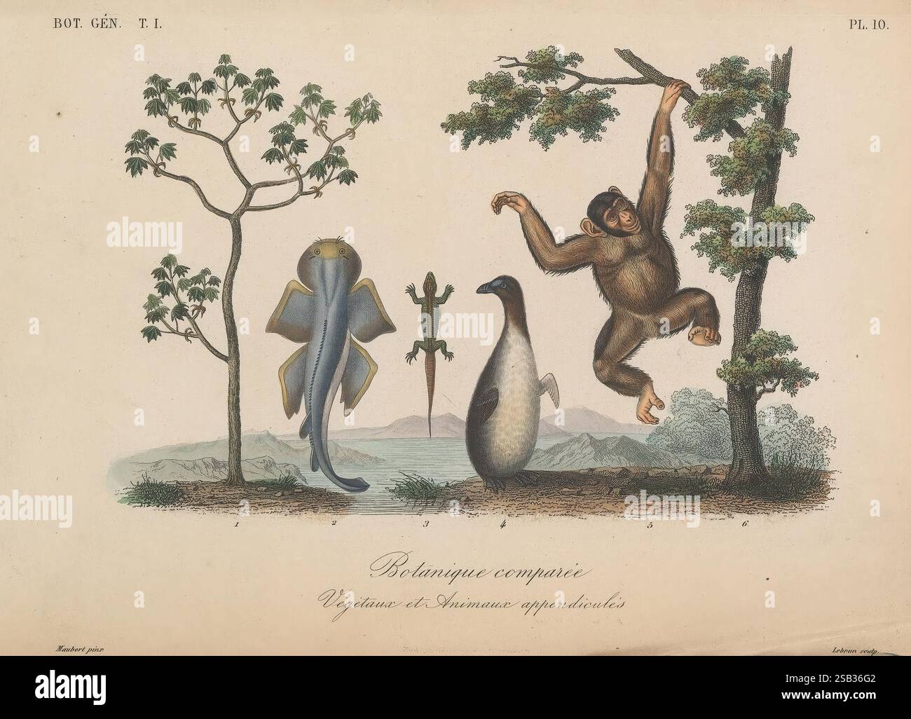 Whimsical assembly hi-res stock photography and images - Alamy