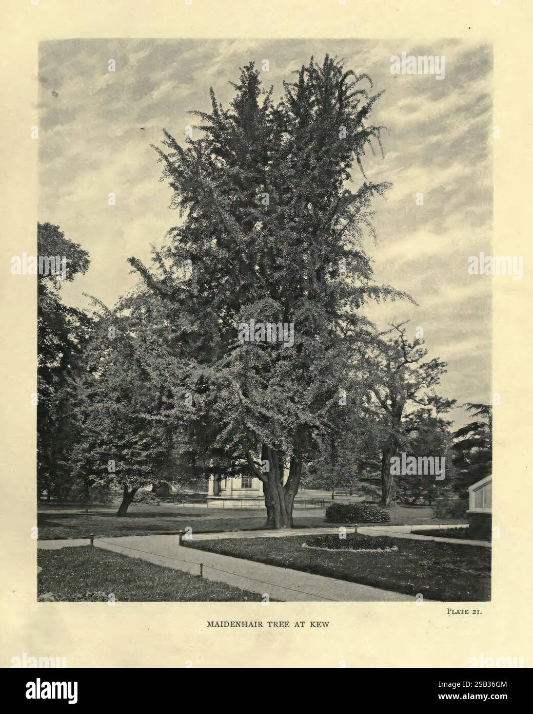 Well maintained pathway curves gently hi-res stock photography and ...