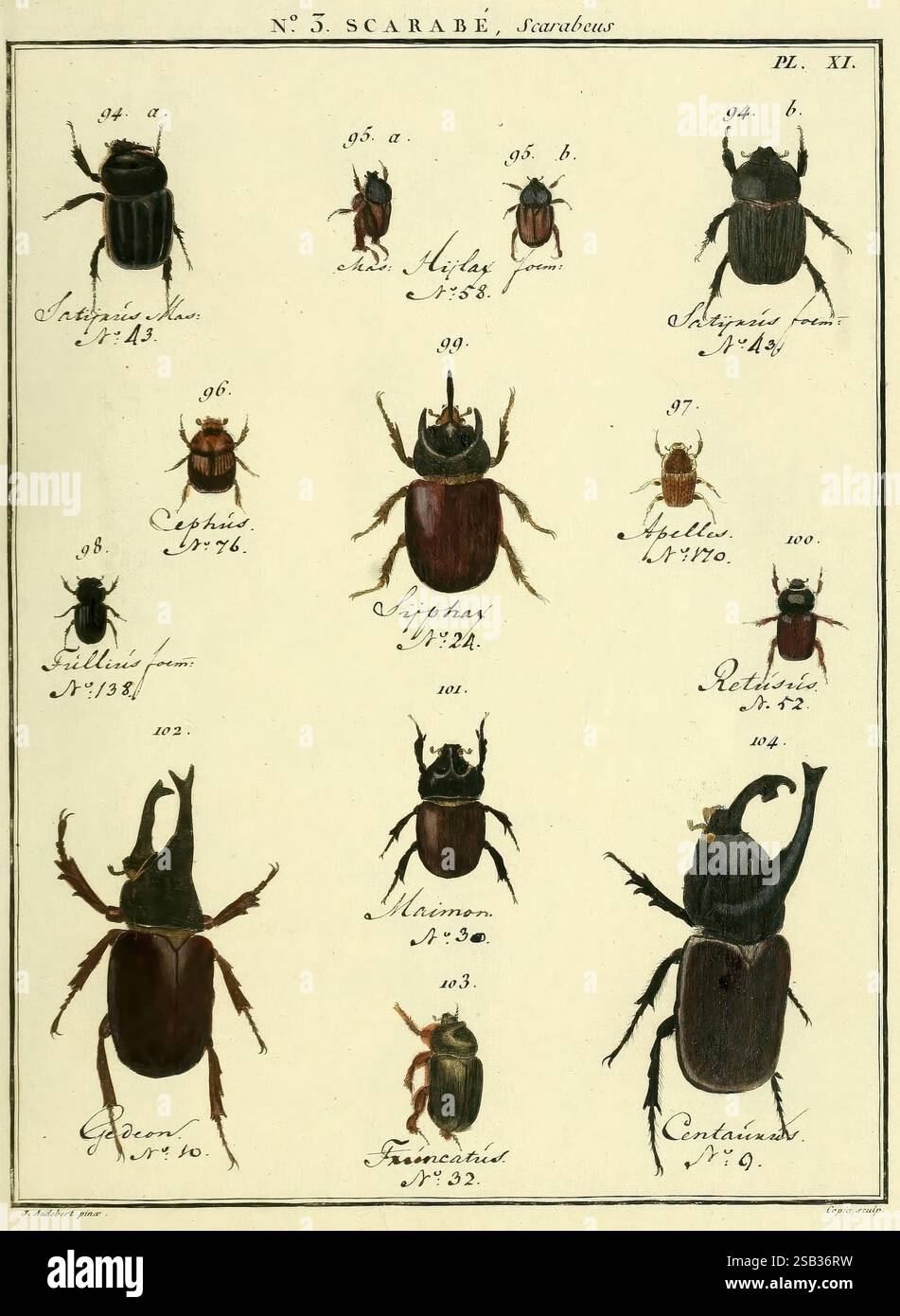 Entomologie, ou, Histoire naturelle des insectes, A Paris, De l ...