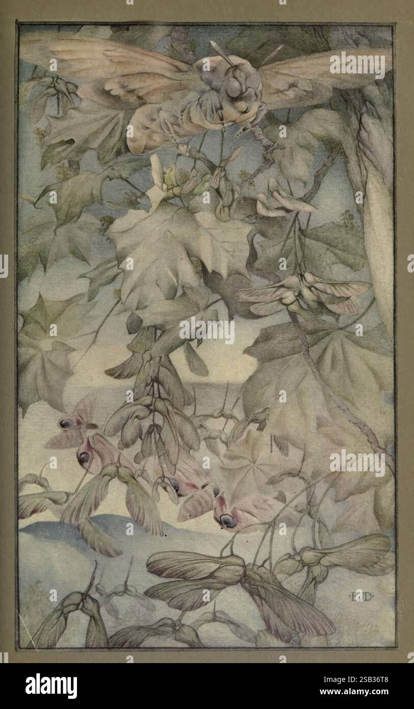 Edward julius detmold hi-res stock photography and images - Alamy