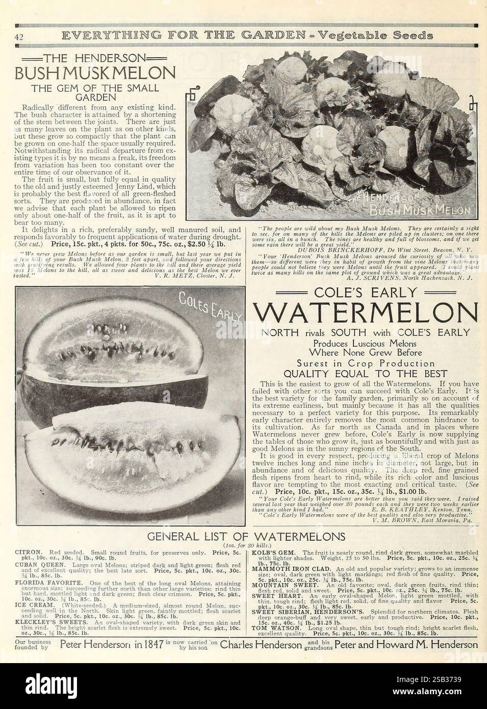 Lower section introduces coles early watermelon hi-res stock ...
