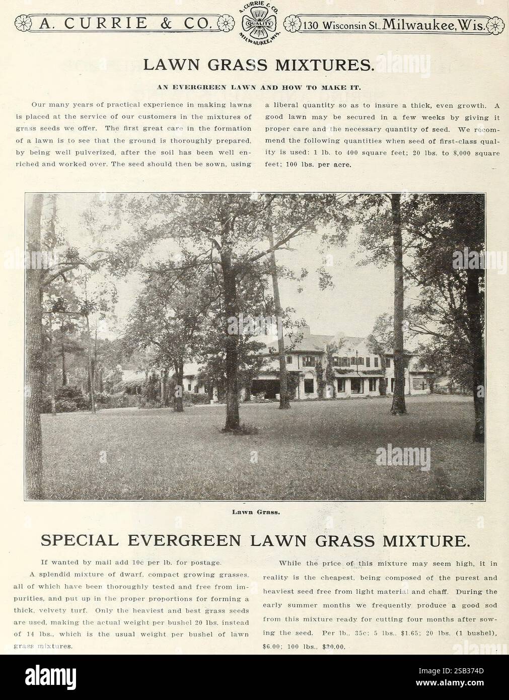 Grass mixtures hi-res stock photography and images - Alamy