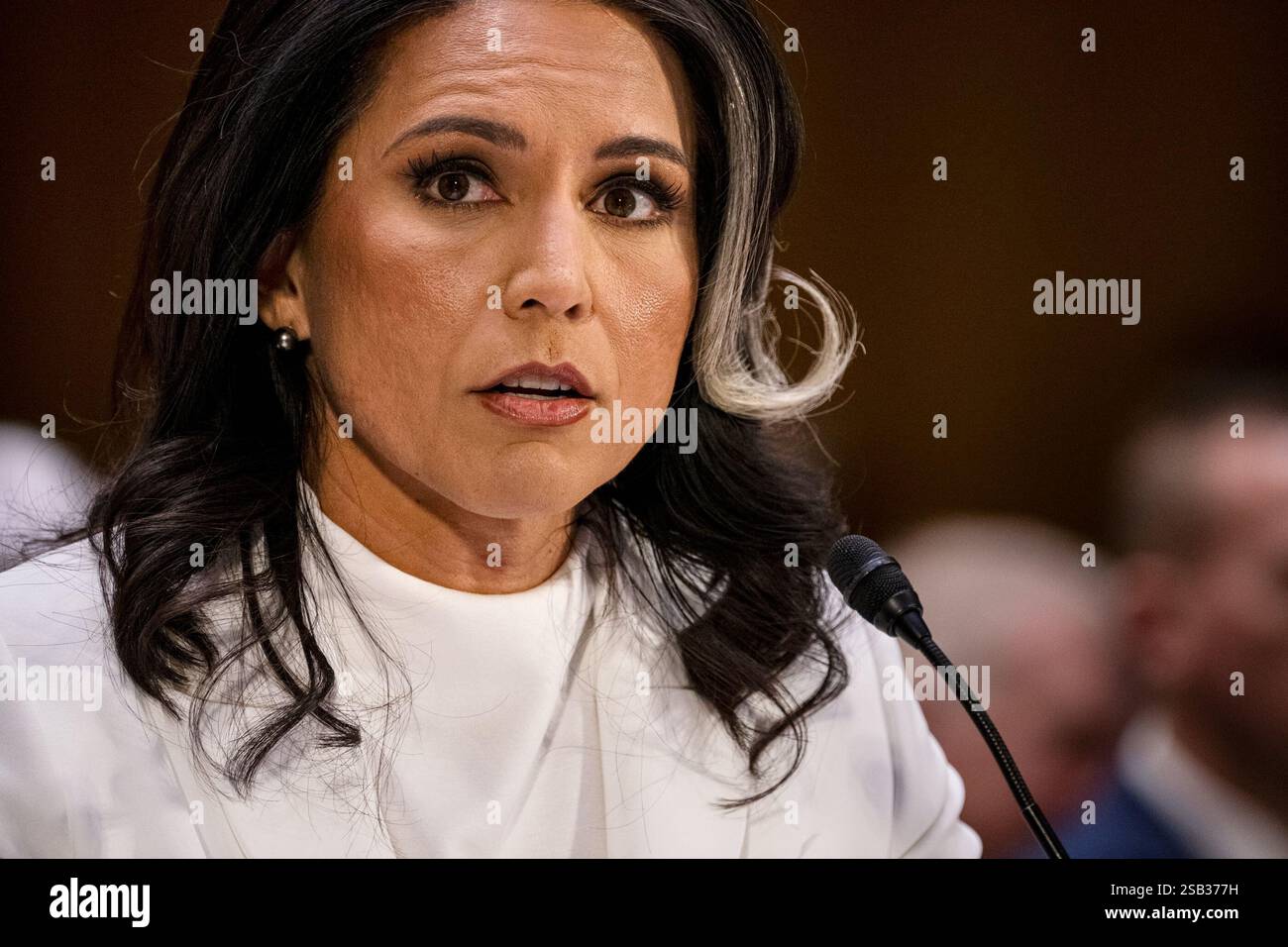 Washington, New York, USA. 30th Jan, 2025. Tulsi Gabbard testifies at ...