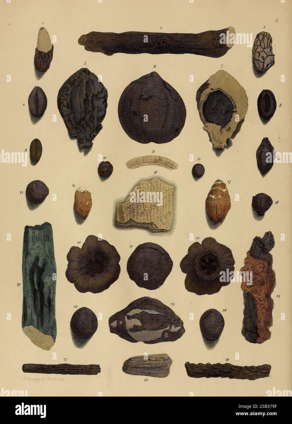 Visual study of natural materials hi-res stock photography and images ...