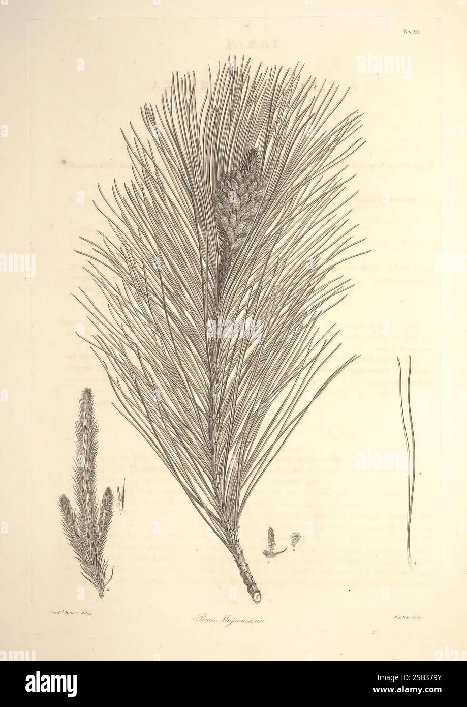 Different needle configurations hi-res stock photography and images - Alamy