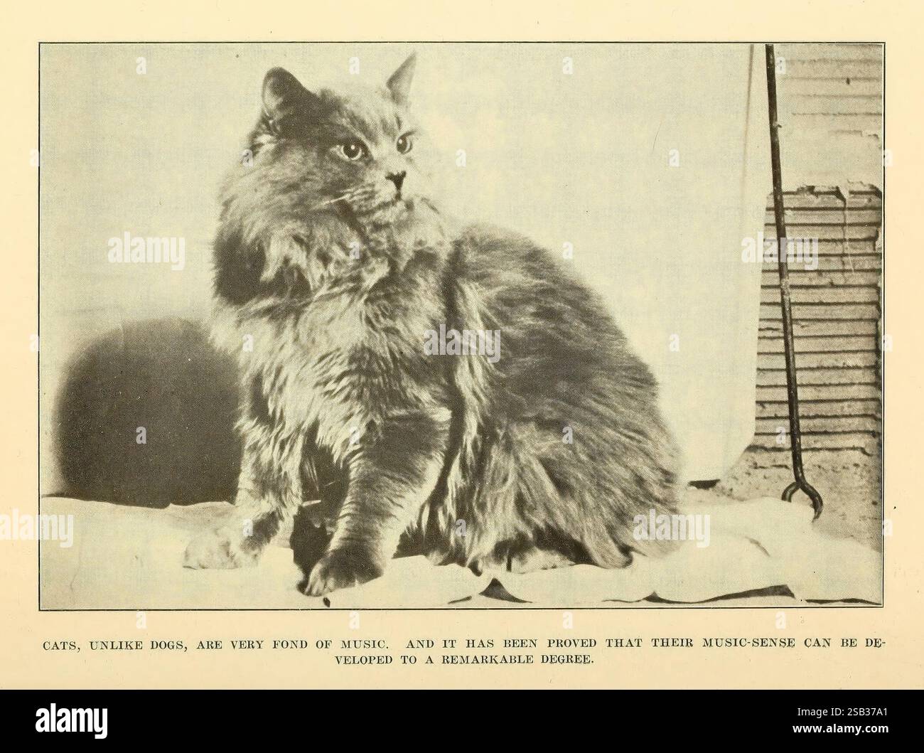 Faint sounds hi-res stock photography and images - Alamy