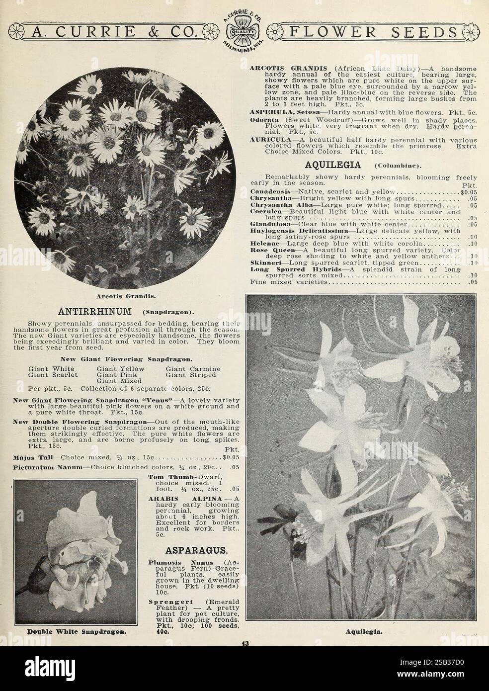 Seed catalog showcases hi-res stock photography and images - Alamy