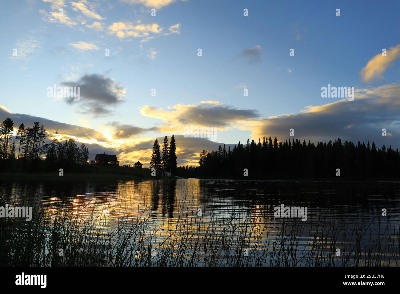 Gorgeous Swedish nature. At a lake one summer evening. Small house in ...