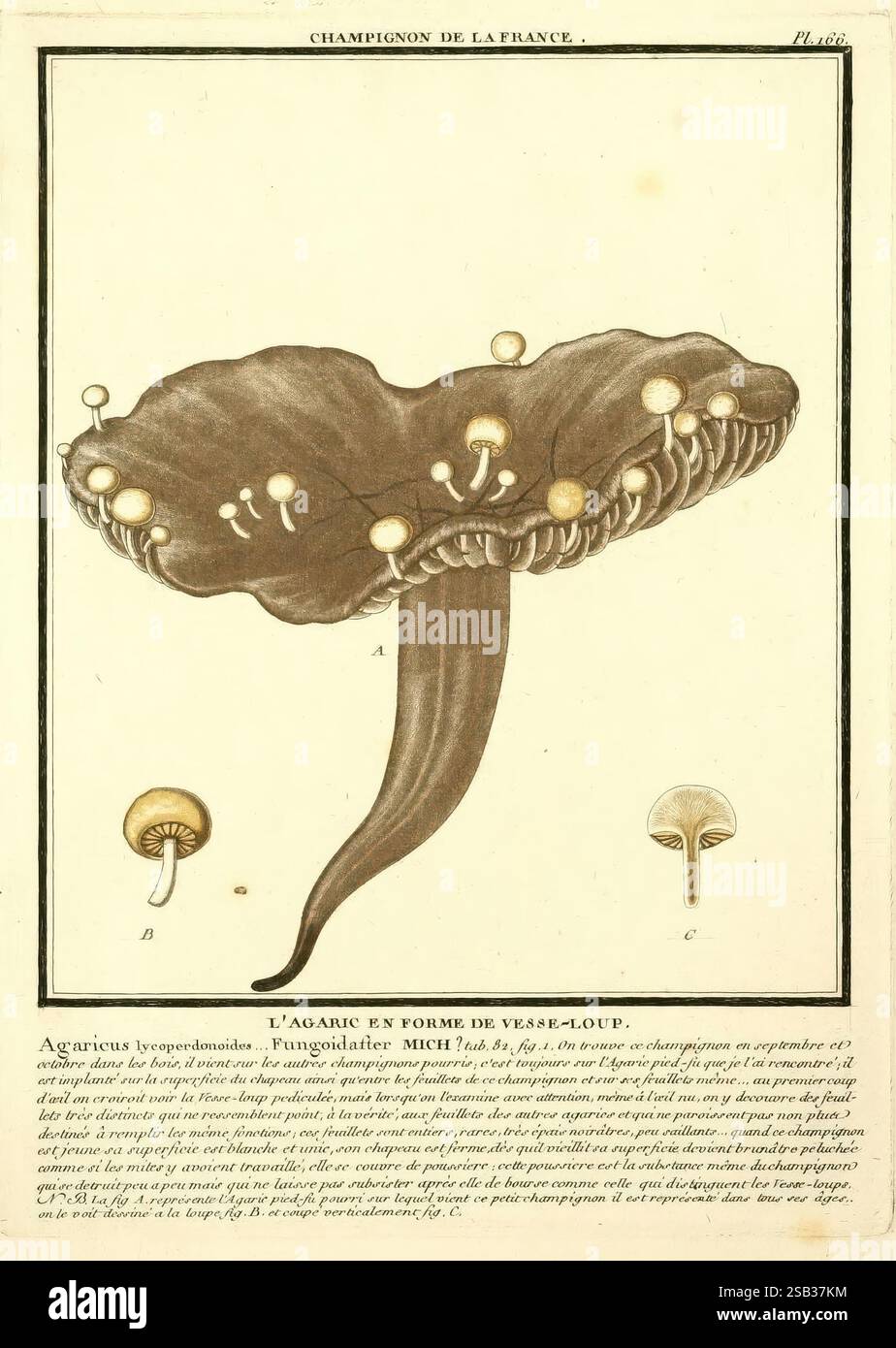 Dramatic upturned position hi-res stock photography and images - Alamy