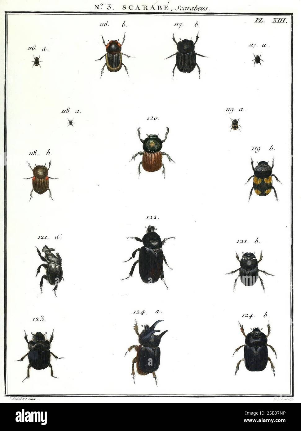 Entomologie ou Histoire naturelle des insectes, Paris, Imp. Baudouin ...