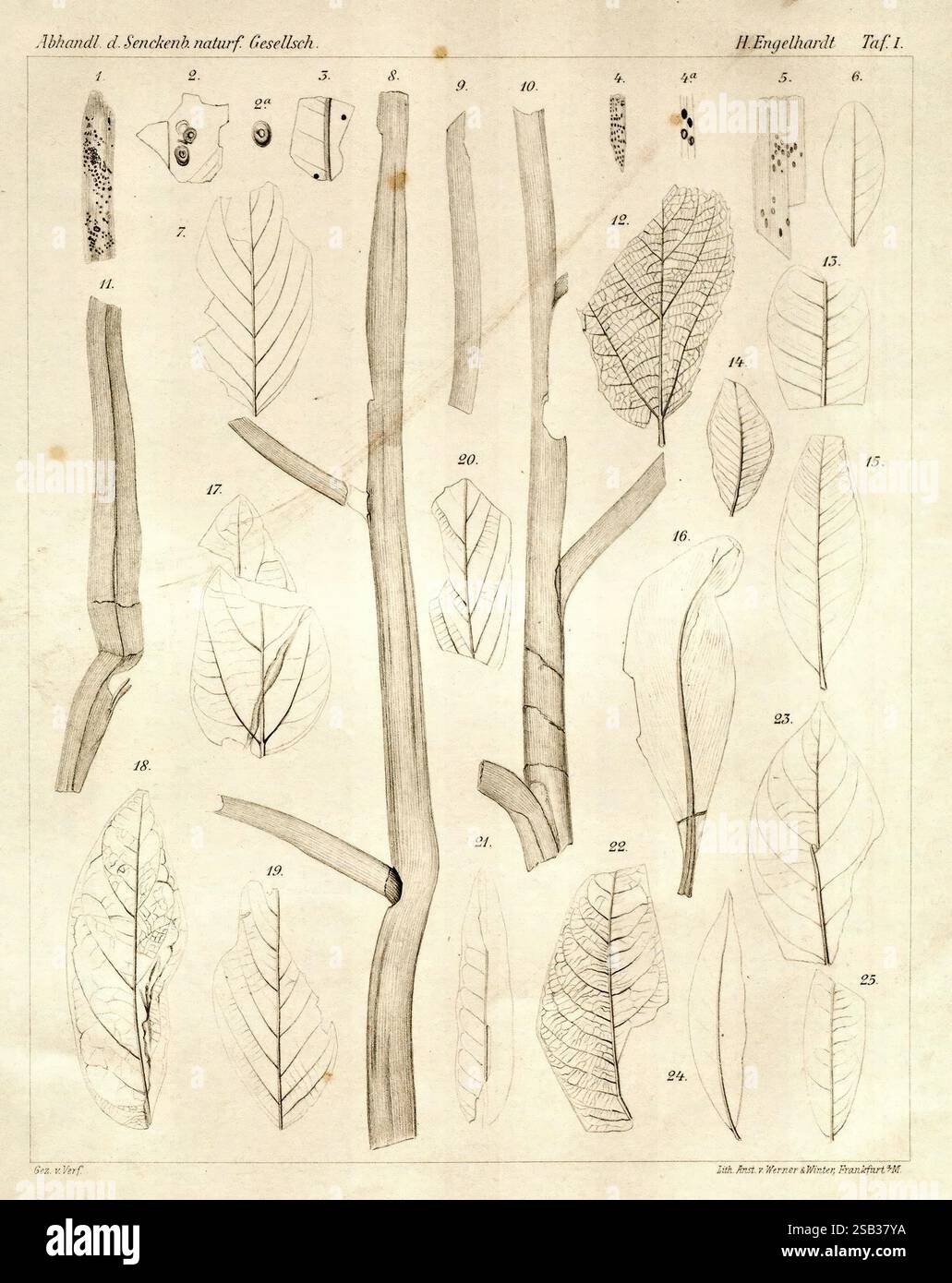 Featuring several types hi-res stock photography and images - Alamy