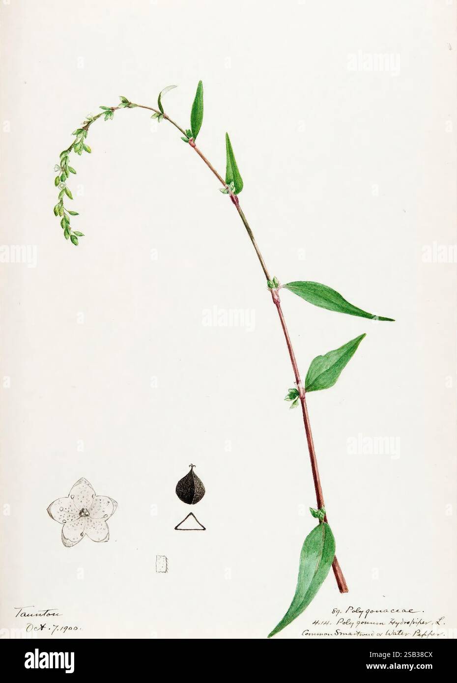 Features two geometric shapes hi-res stock photography and images - Alamy