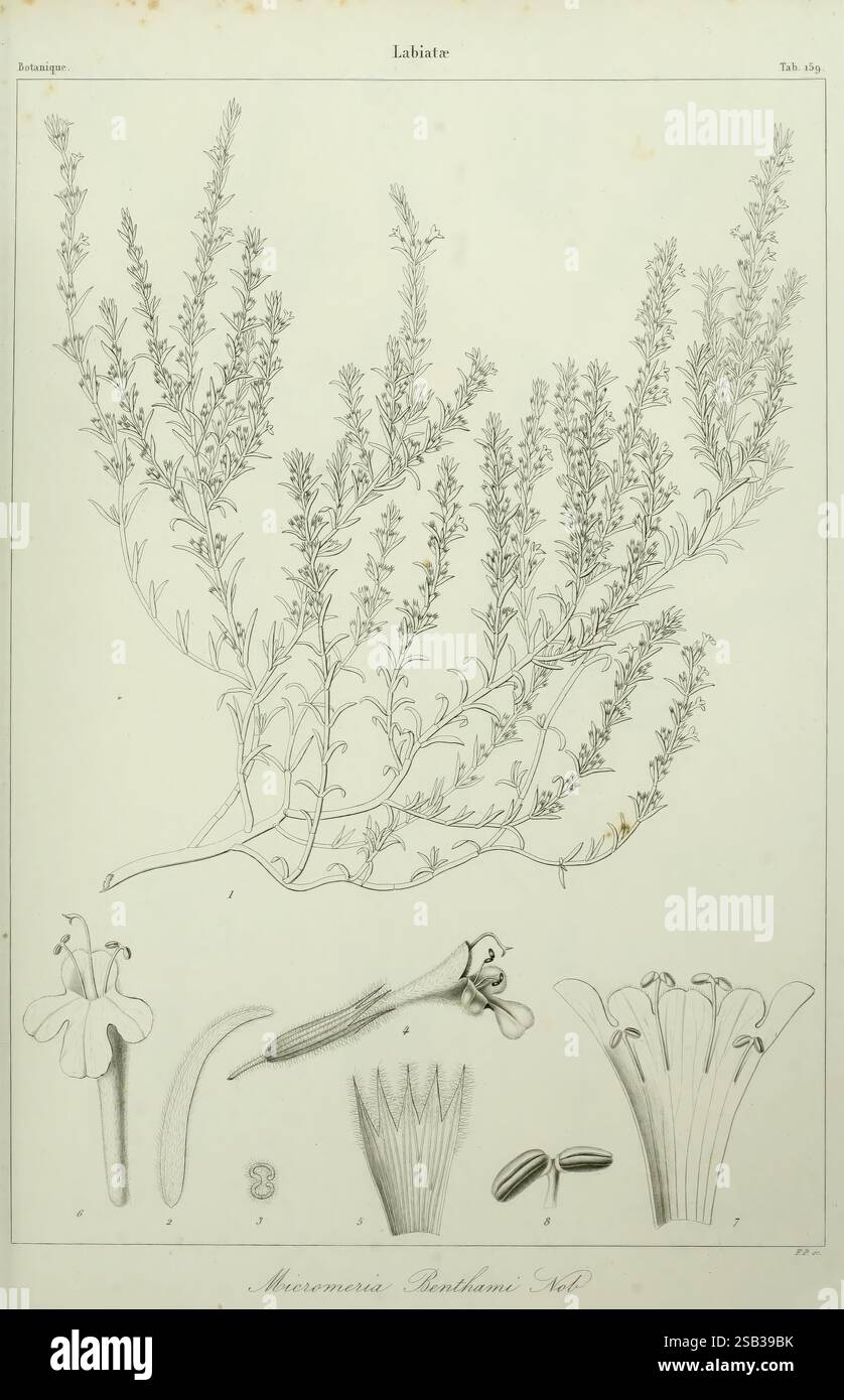 Histoire naturelle des Iles Canaries, Paris, Béthune, éditeur, 1836 ...