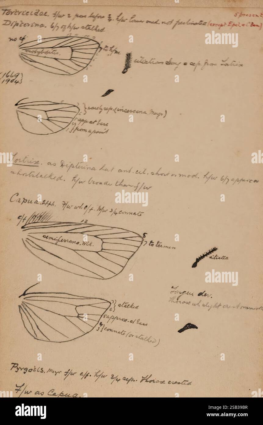 Meticulous representations reflect hi-res stock photography and images ...