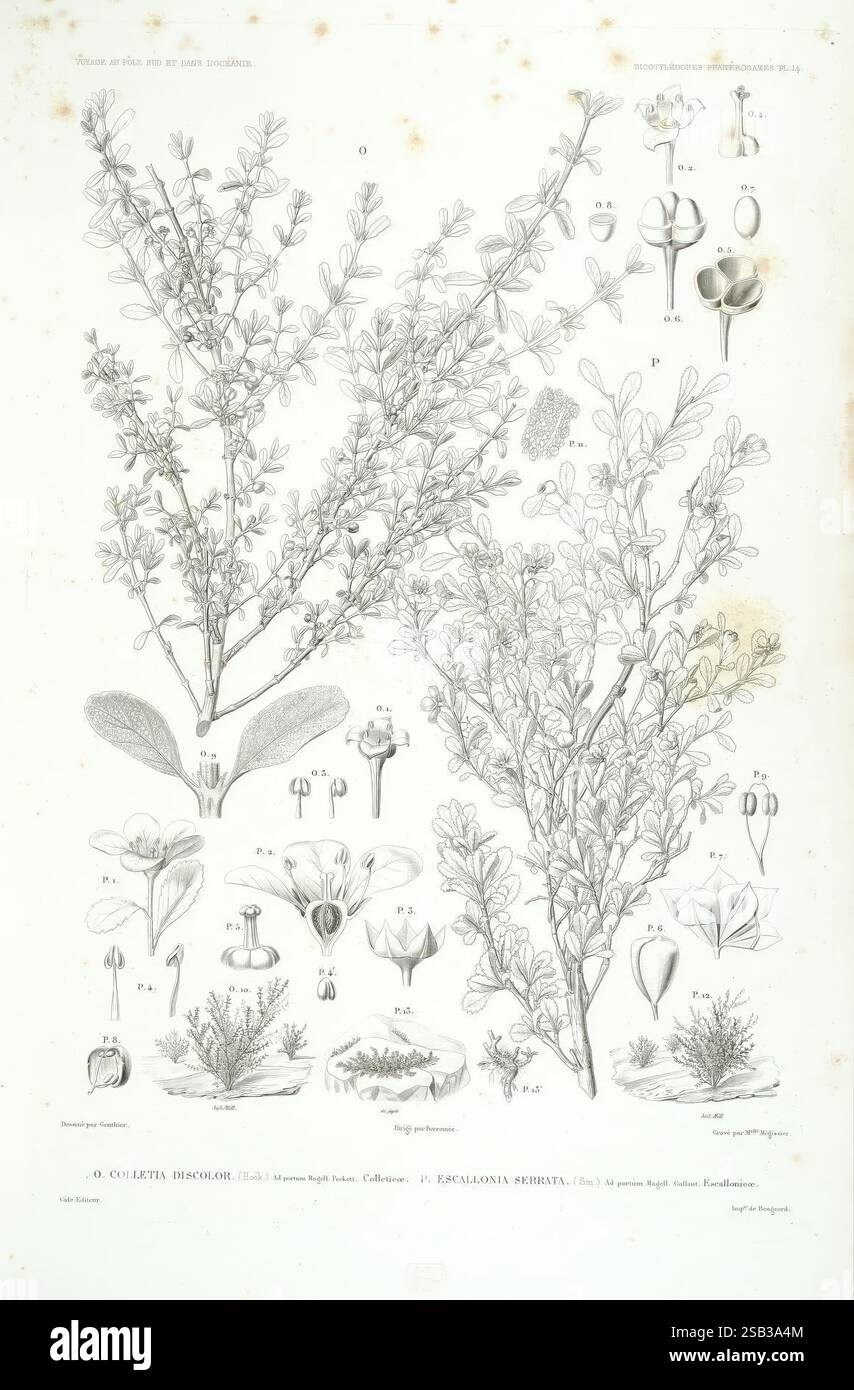 Resembling renderings hi-res stock photography and images - Alamy