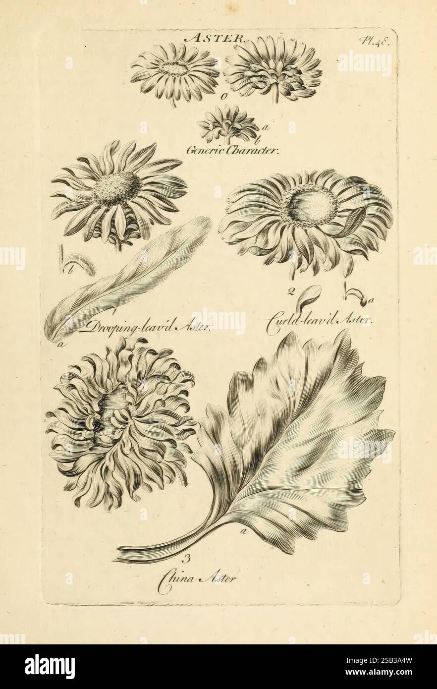 The, Vegetable, System, London, Printed, at, the, expense, of, the ...