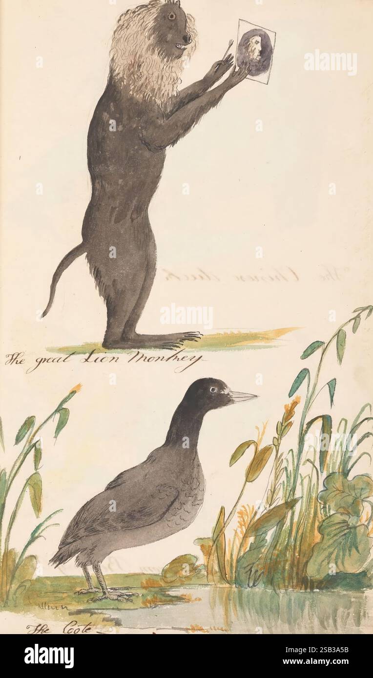 The Naturalist's Companion, Containing Drawings, With Suitable ...