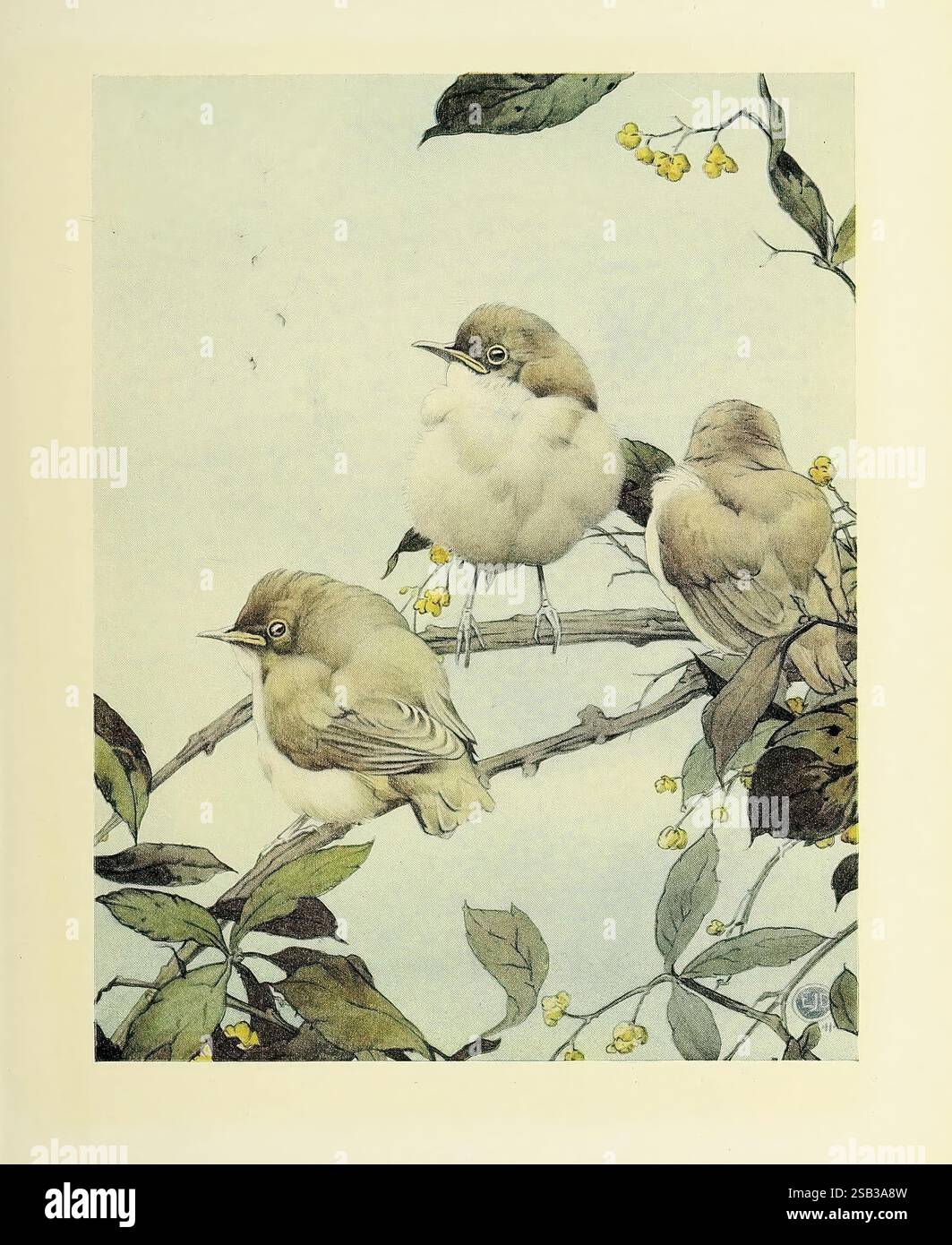 Subtle color palette evokes hi-res stock photography and images - Alamy