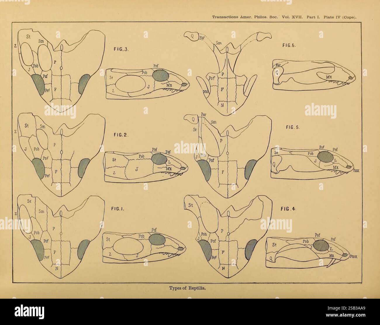 Forms labeled hi-res stock photography and images - Alamy