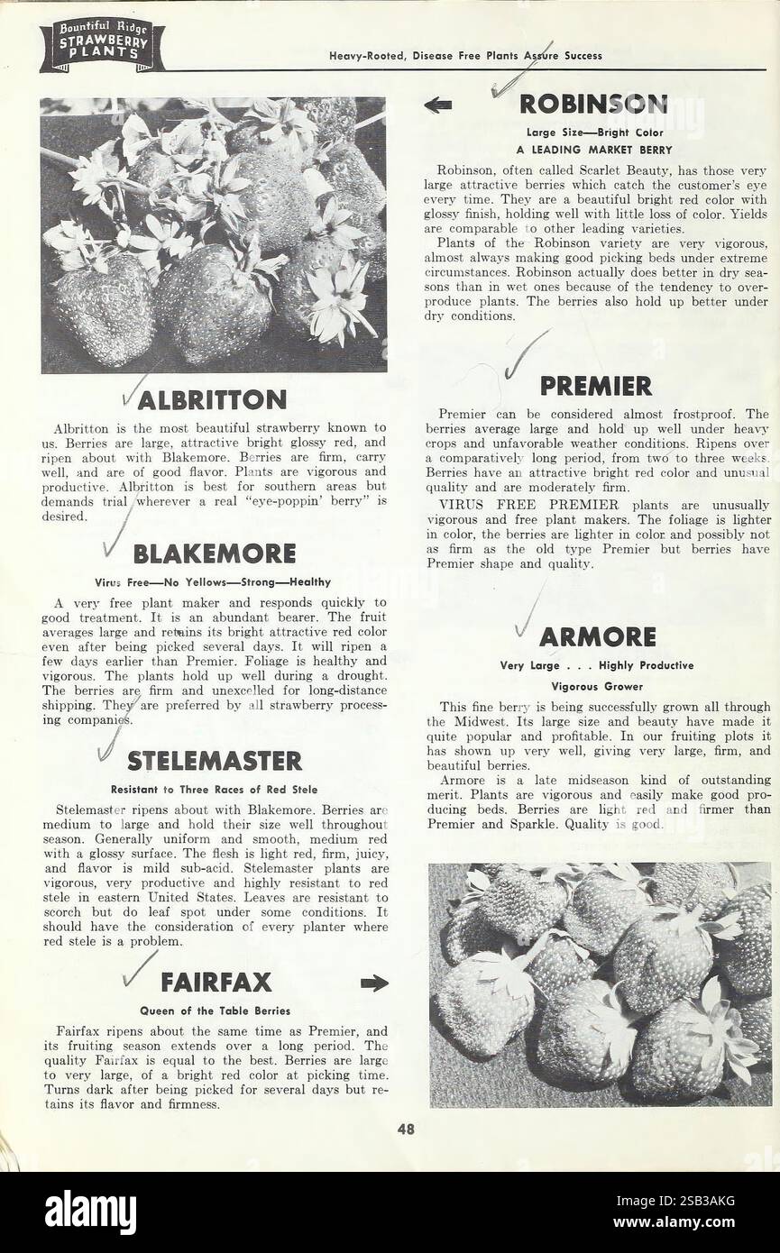 Planting guide, Princess Anne, Md, Bountiful Ridge Nurseries, 1964 ...