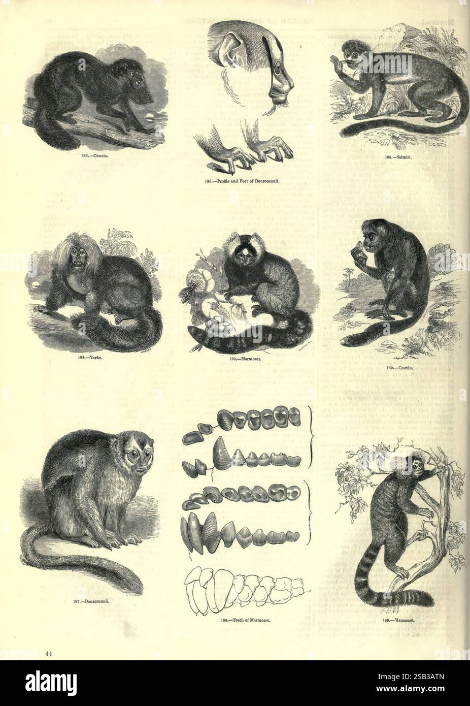 Animated lower third hi-res stock photography and images - Alamy