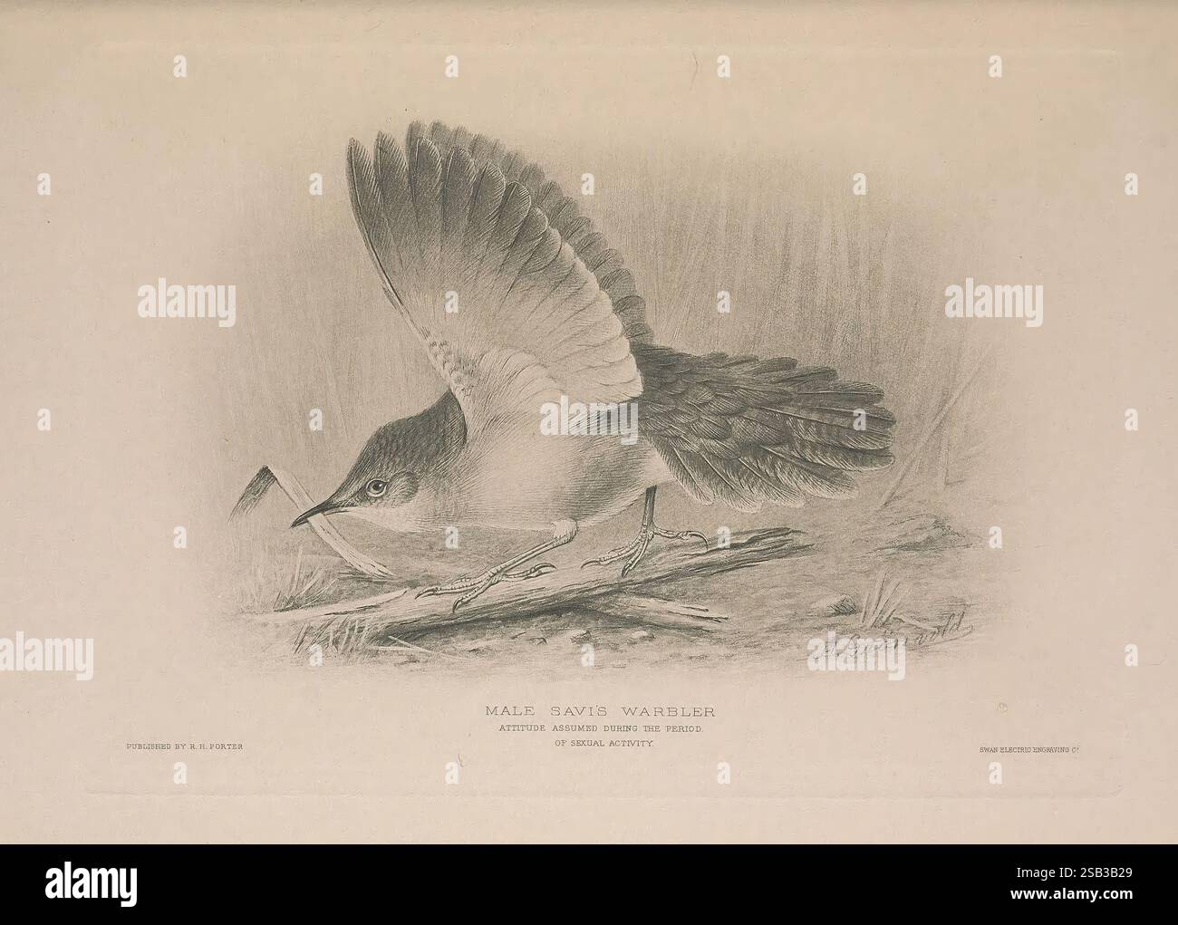 Descriptive text identifies hi-res stock photography and images - Alamy