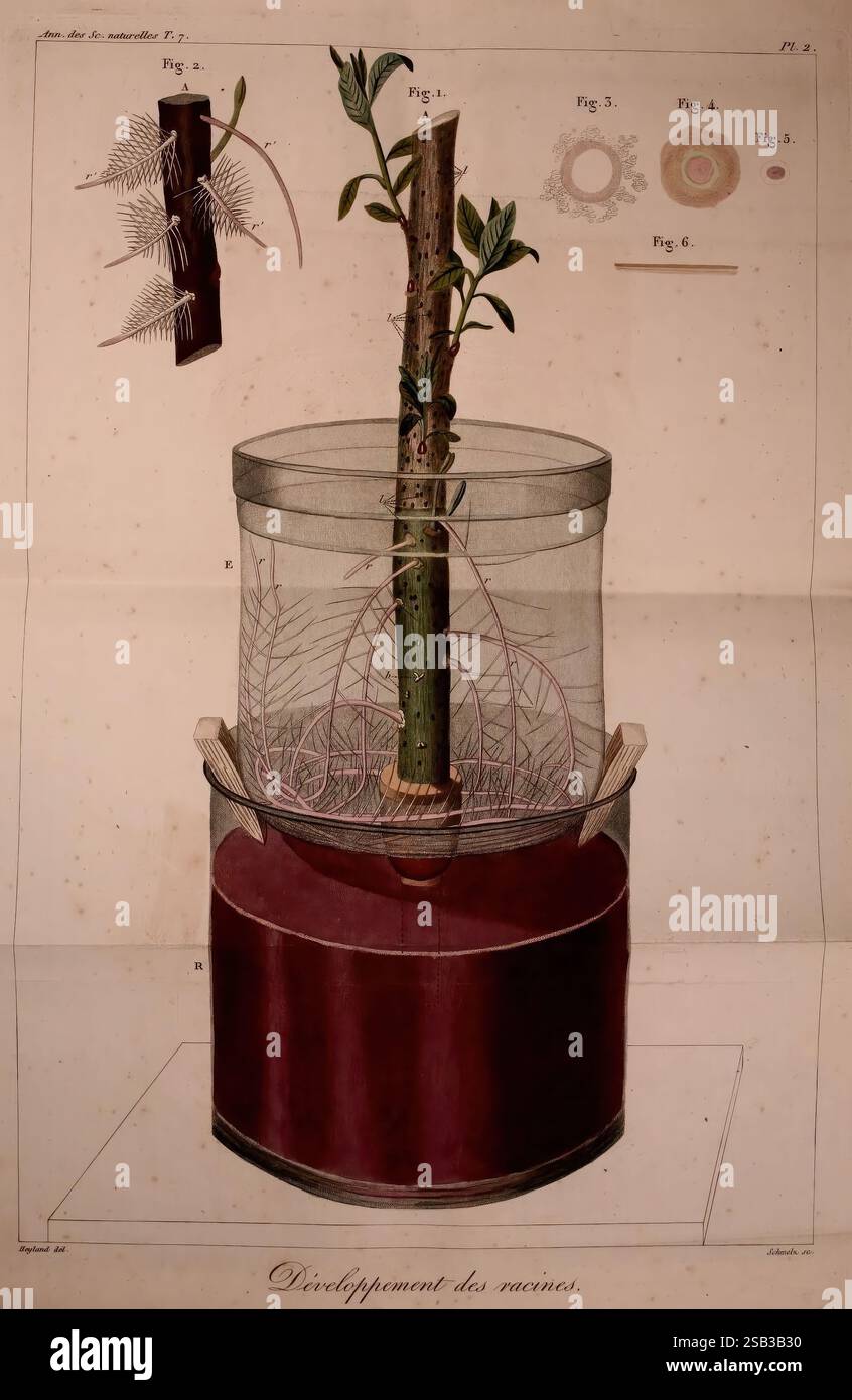 Cylindrical container showcasing hi-res stock photography and images ...