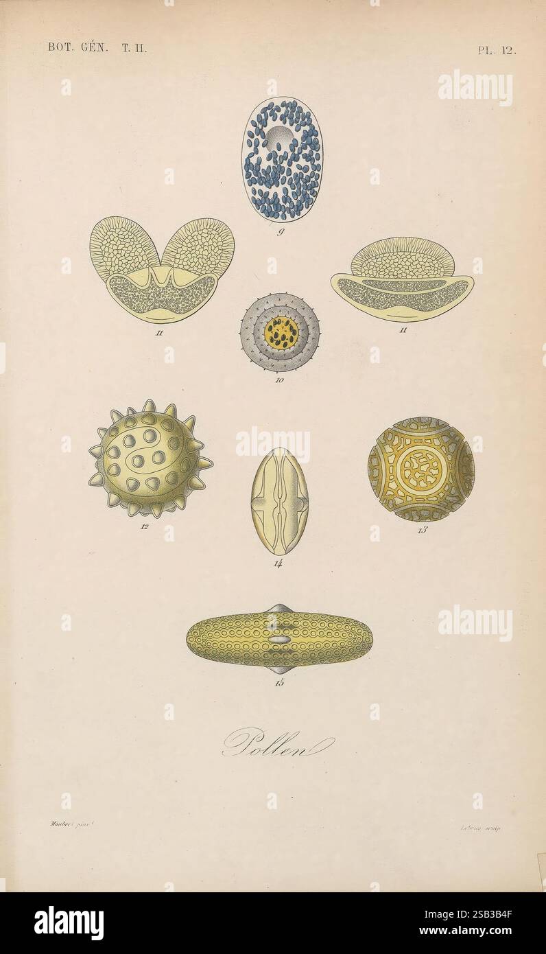 Tiny structures essential hi-res stock photography and images - Alamy