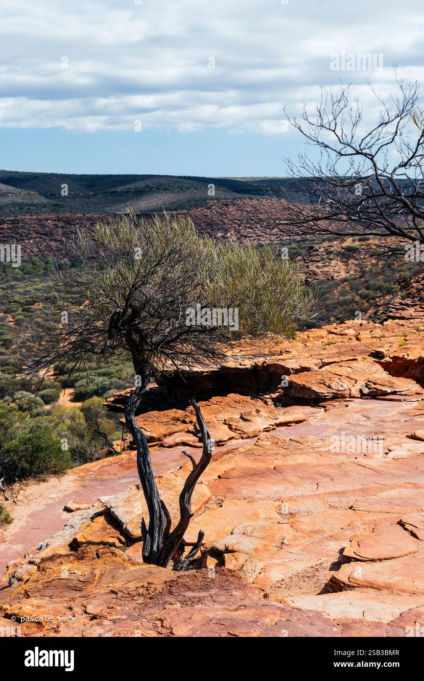 Australia - From West to East Stock Photo - Alamy