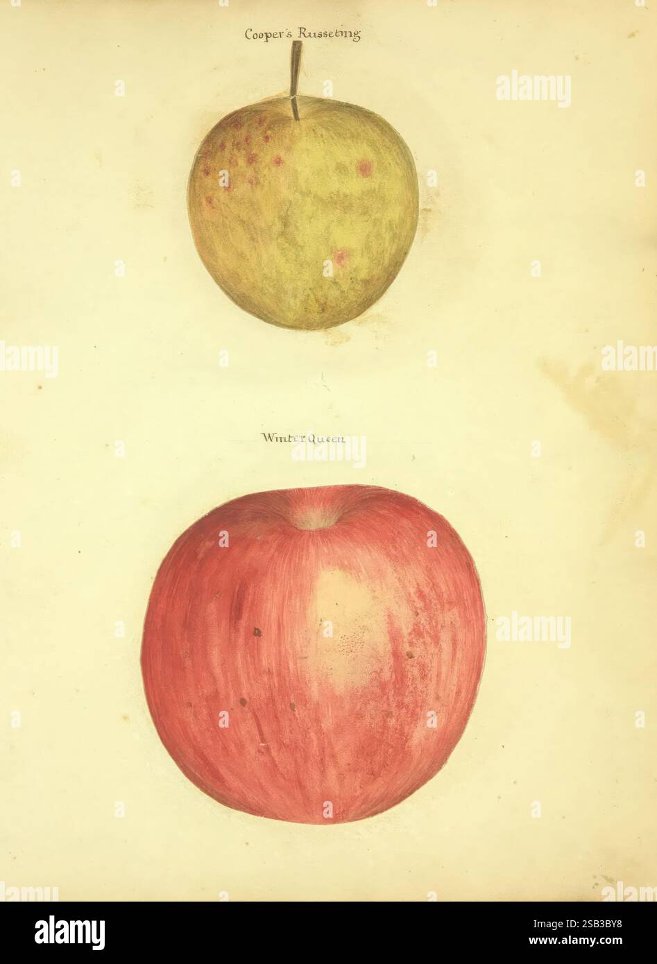 Slightly uneven texture hi-res stock photography and images - Alamy