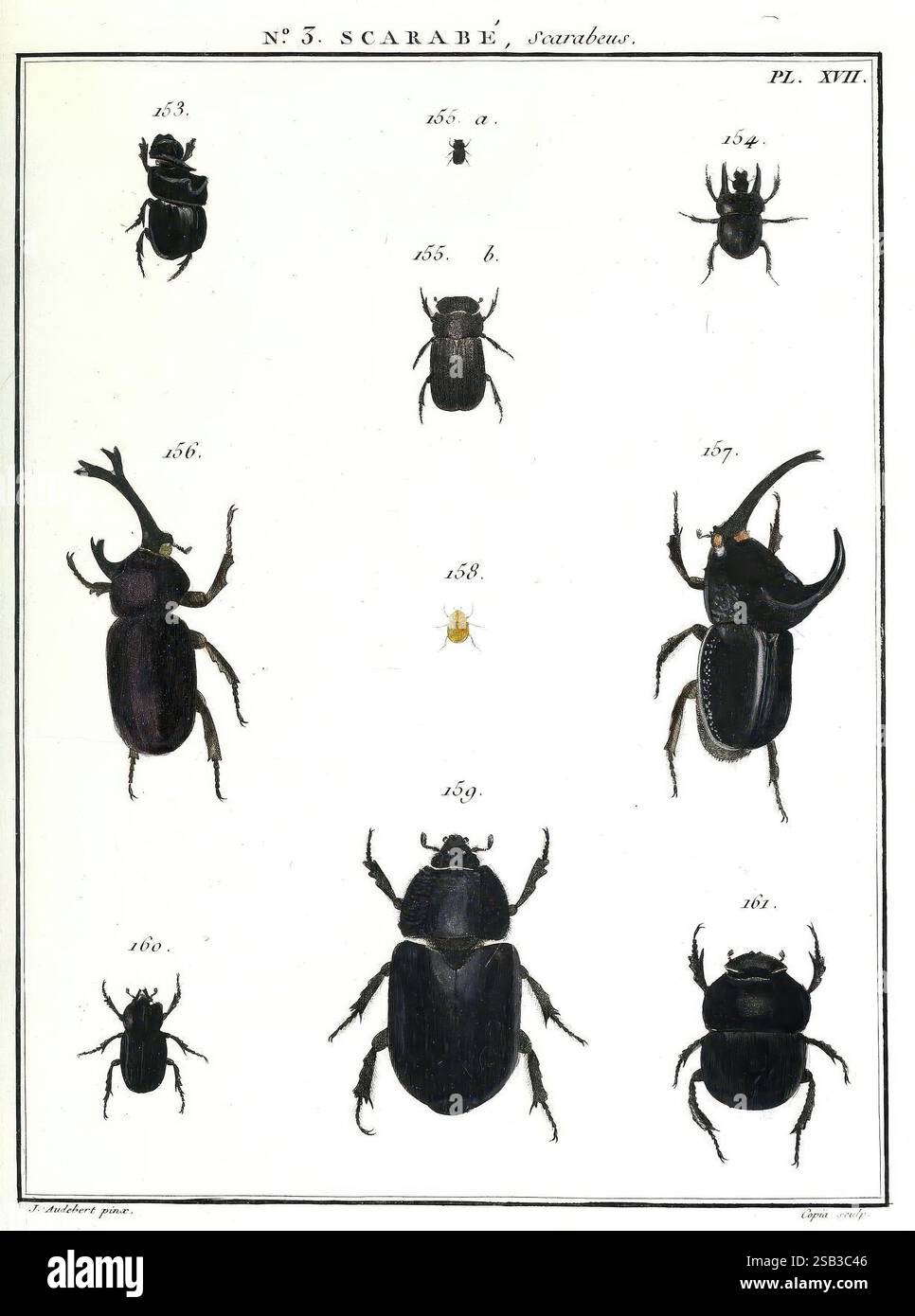 Entomologie ou Histoire naturelle des insectes, Paris, Imp. Baudouin ...