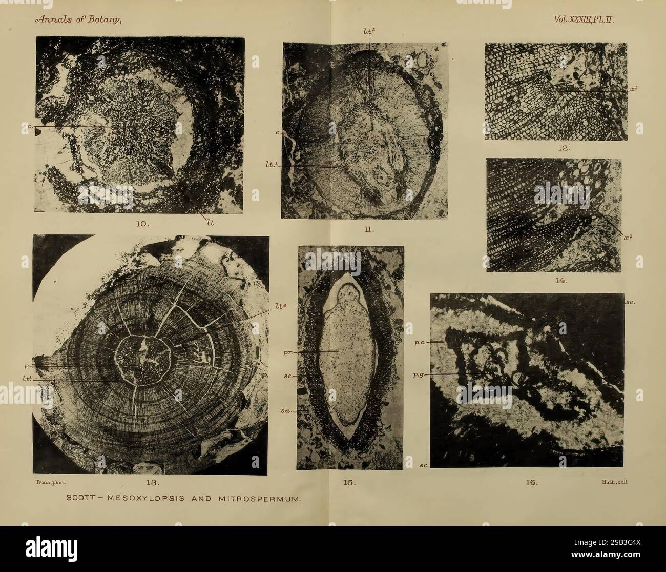 Labeled section showcases various aspects hi-res stock photography and ...