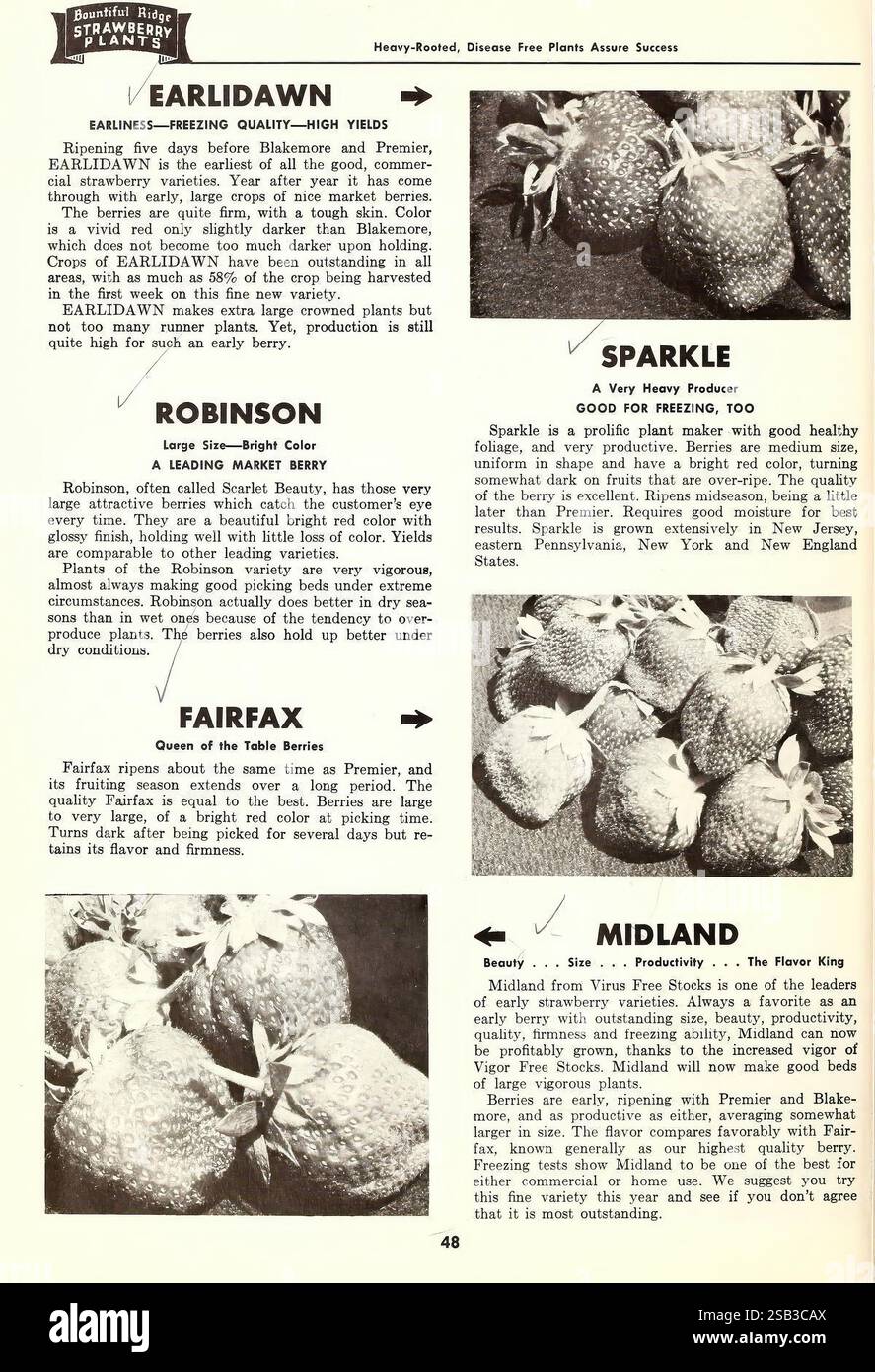 Planting guide, Princess Anne, Md, Bountiful Ridge Nurseries, 1967 ...