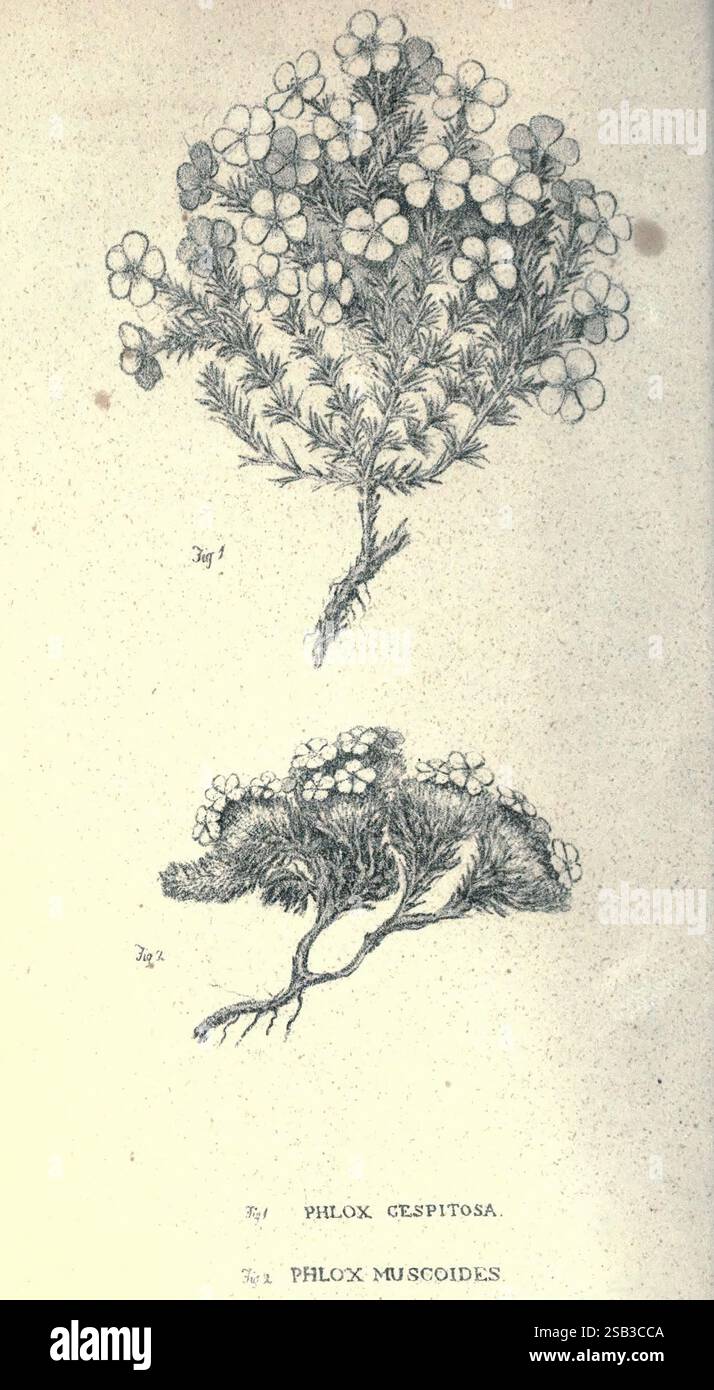 Journal of the Academy of Natural Sciences of Philadelphia ...