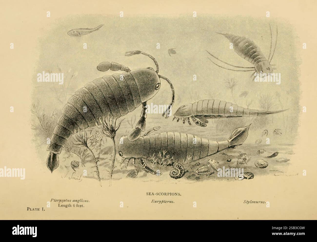 Extinct monsters, London, Chapman & Hall, 1896, extinct animals ...