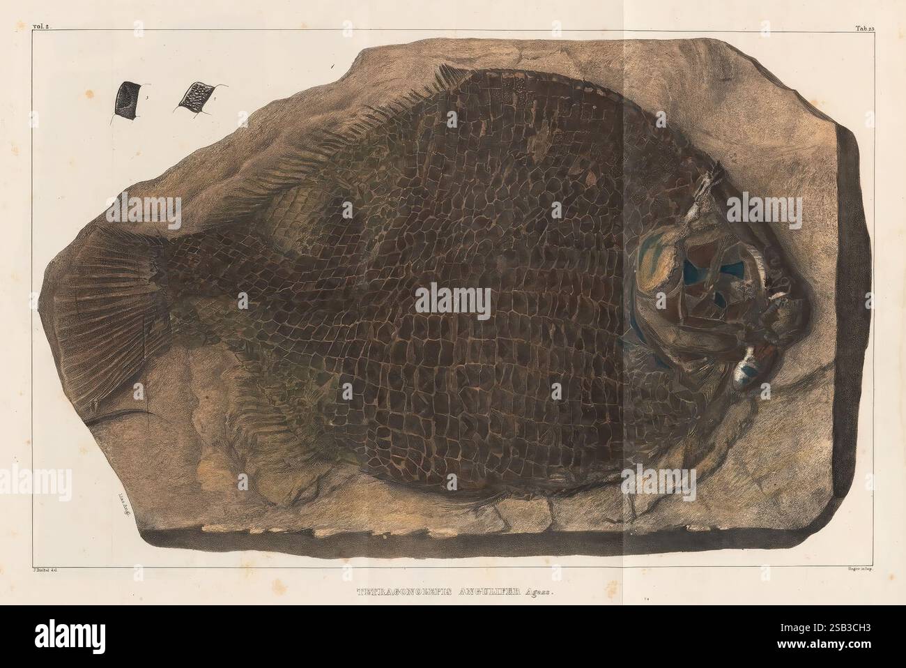 Resembles sedimentary rock hi-res stock photography and images - Alamy