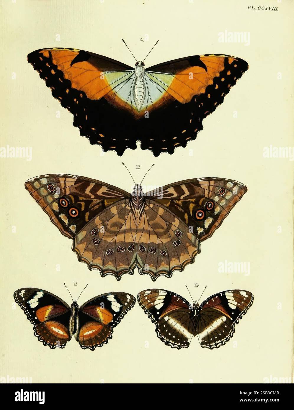 Eye catching circular markings hi-res stock photography and images - Alamy