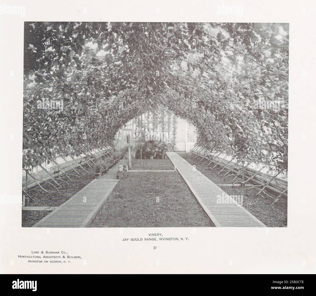 Pathway hints hi-res stock photography and images - Alamy