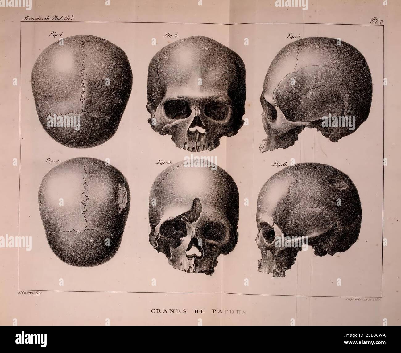 Certain ethnic groups hi-res stock photography and images - Alamy