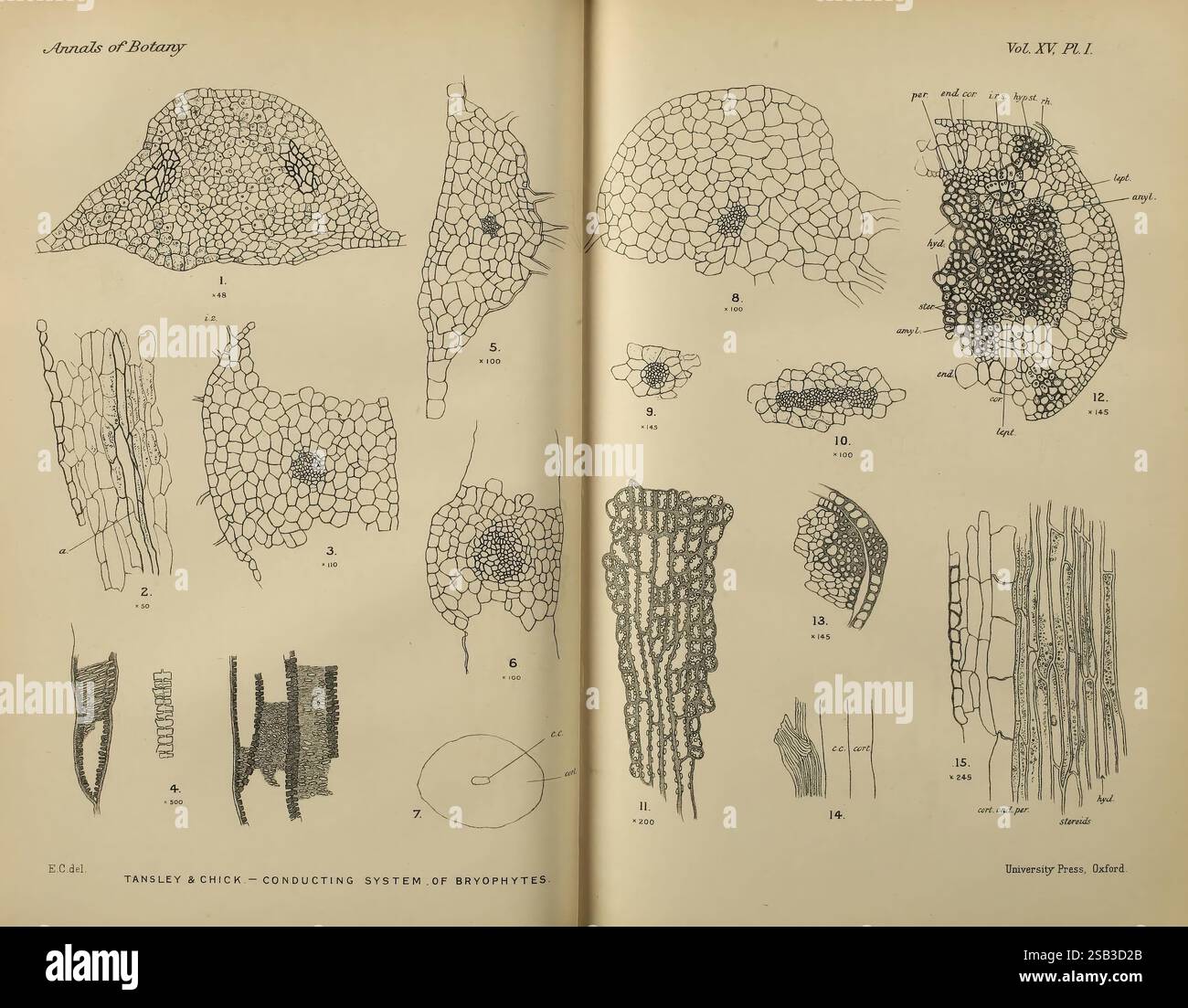 Annals of botany, London, botany, periodicals, plants, This detailed ...