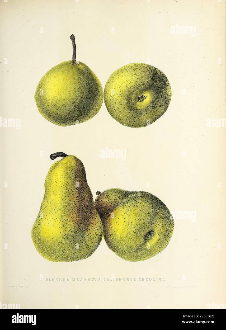 Indicating texture variations hi-res stock photography and images - Alamy