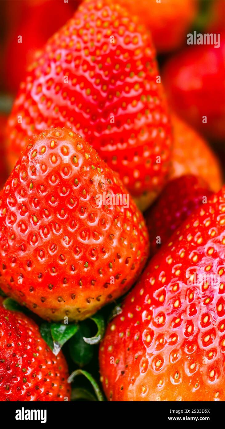 Strawberry macro close up hi-res stock photography and images - Alamy