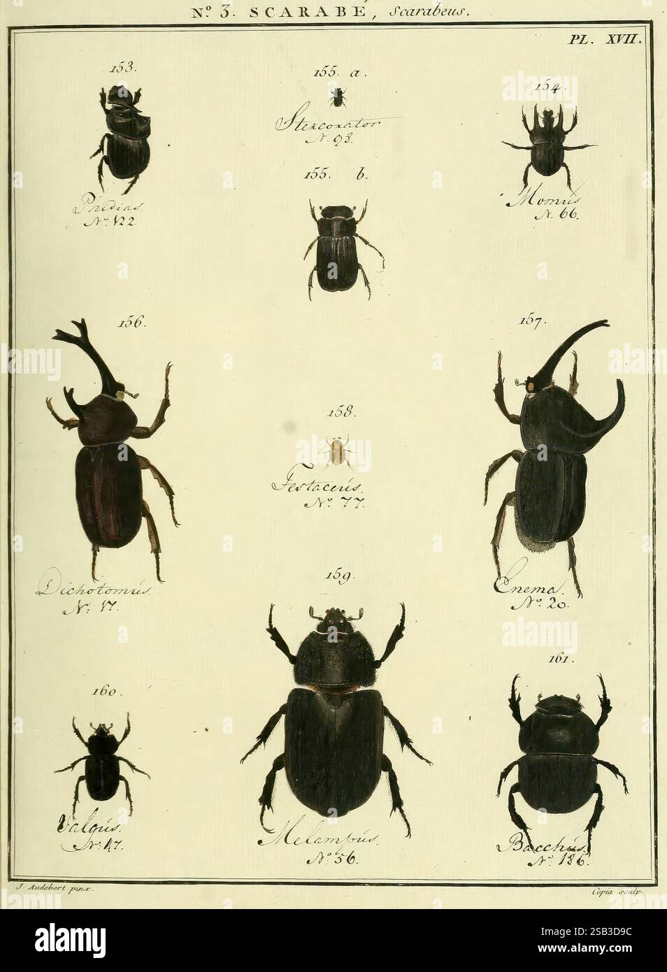 Entomologie, ou, Histoire naturelle des insectes, A Paris, De l ...