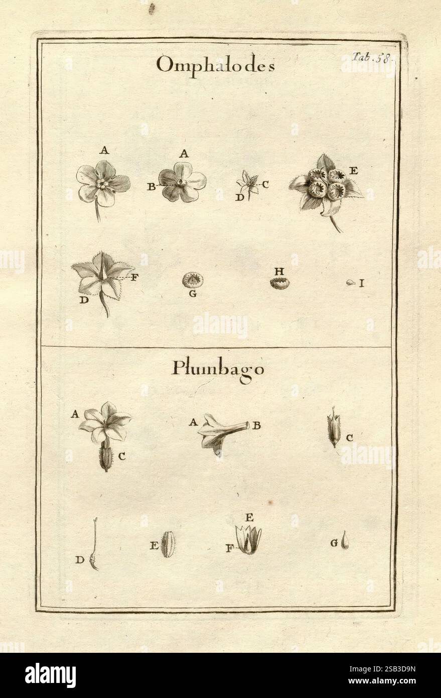 Joseph Pitton de Tournefort, Institutiones rei herbariae, Parisiis, E ...