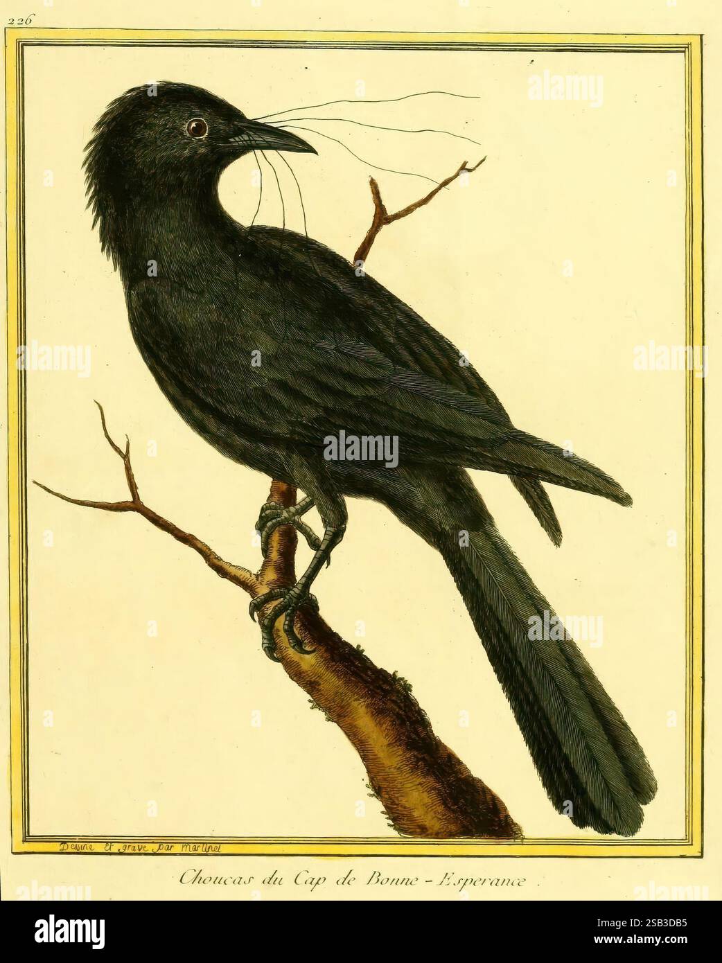 Elegant portrayal serves hi-res stock photography and images - Alamy
