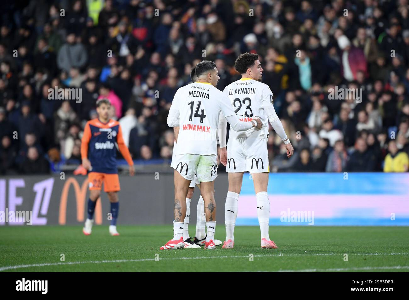 14 Facundo MEDINA (rcl) - 23 Neil EL AYNAOUI (rcl) during the Ligue 1 McDonald's match between ...