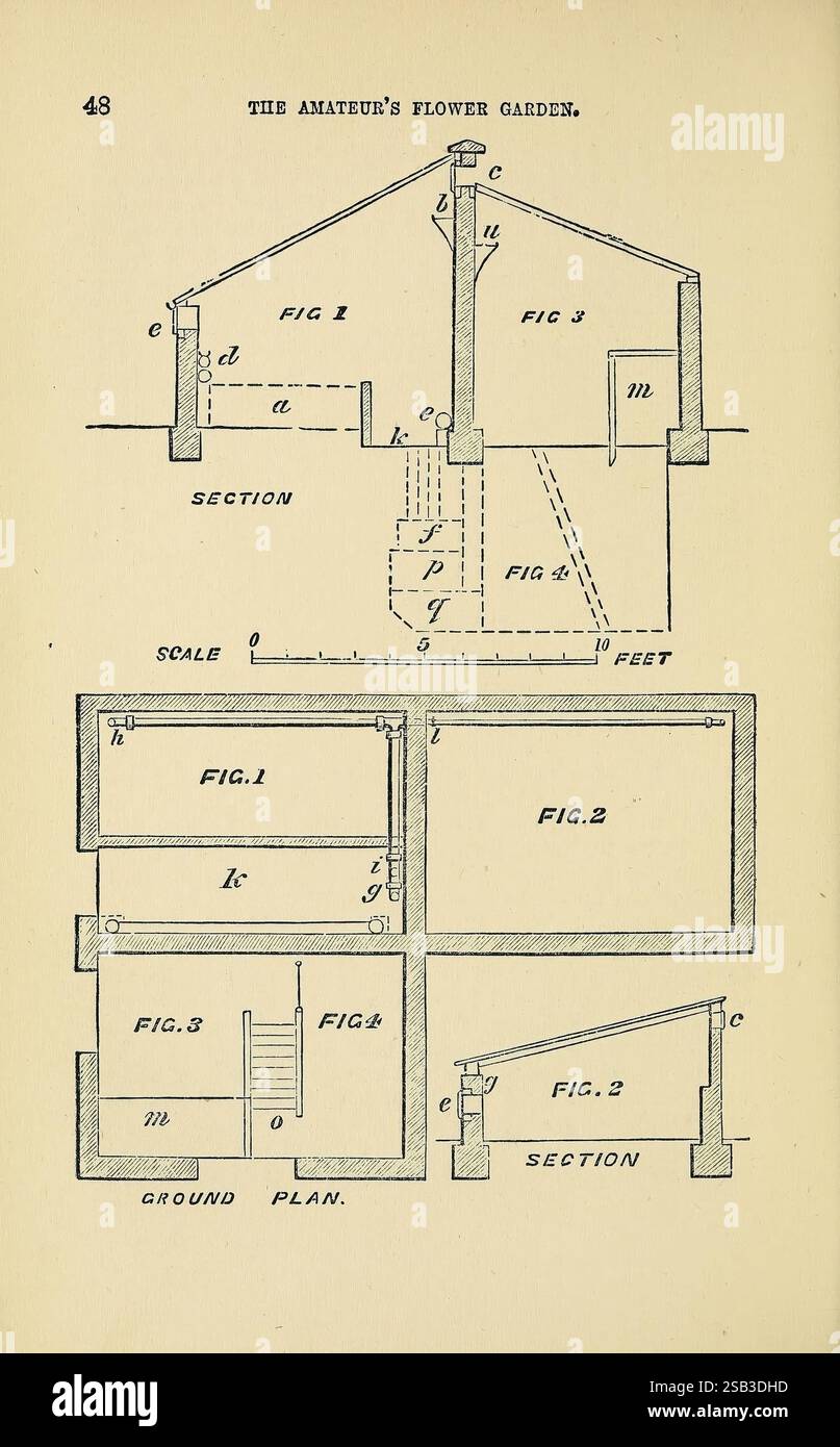 The amateur's flower garden London Groombridge & Sons 1875 Flower ...