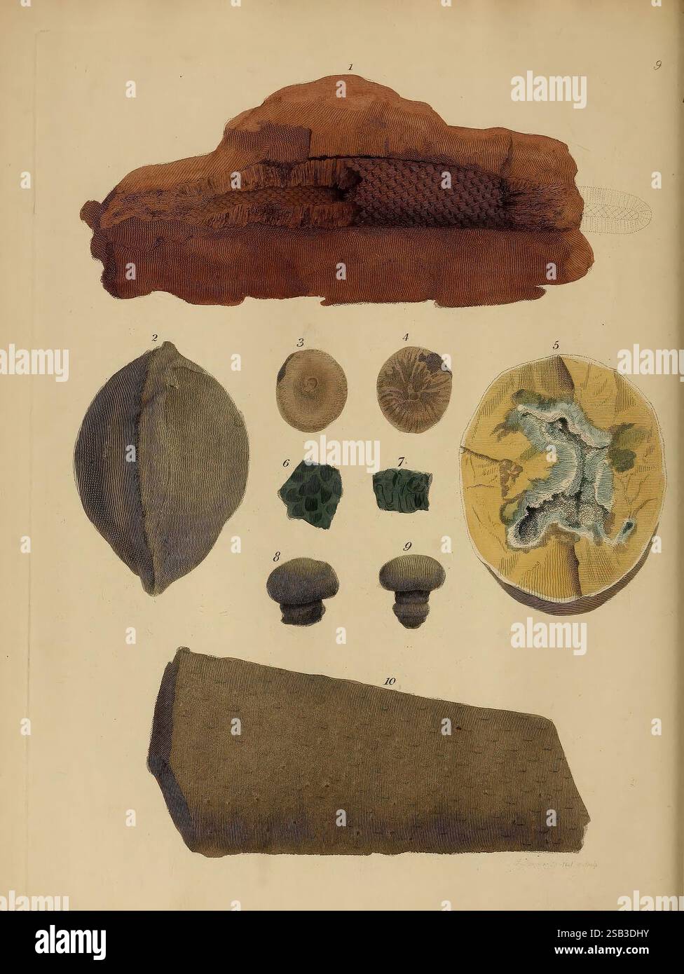 Simpler shapes hi-res stock photography and images - Alamy